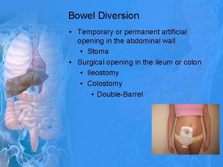 Bowel Elimination B 260 Fundamentals of Nursing SCIENTIFIC