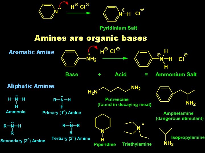 Biological Chemistry FIRST YEAR ORGANIC CHEMISTRY Lecture Five