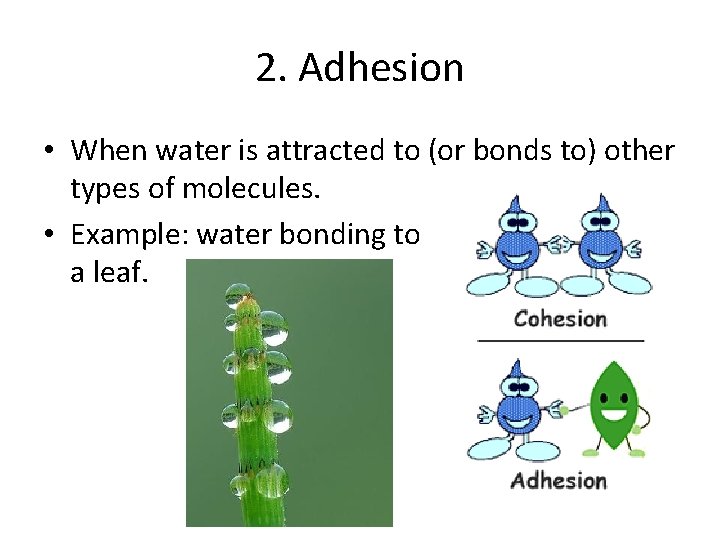 Properties of Water What can water do 1