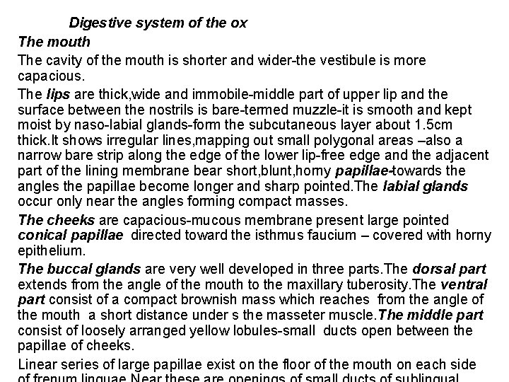Digestive system of the ox The mouth The