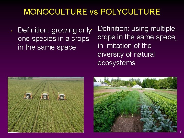 Agricultural Methods and their effect on biodiversity and
