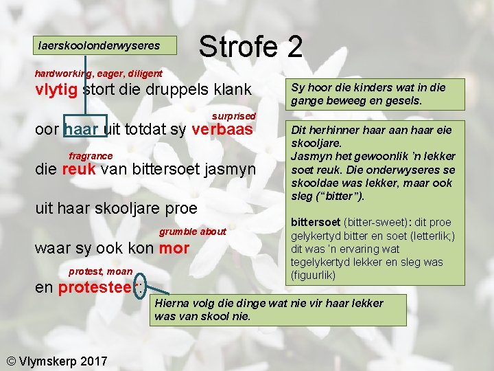 Boekmerk Marlise Joubert Vooraf Waarvoor gebruik mens n