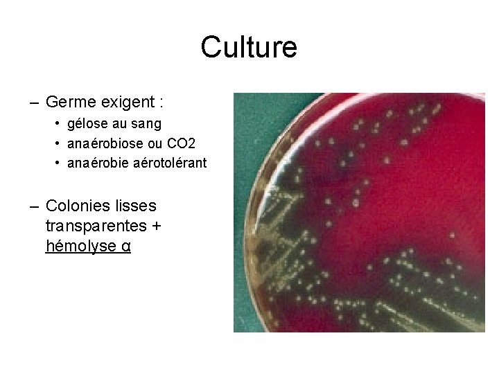 Infections Respiratoires Infections communautaires S Pneumoniae ...