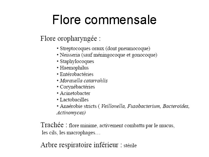 Infections Respiratoires Infections communautaires S Pneumoniae ...