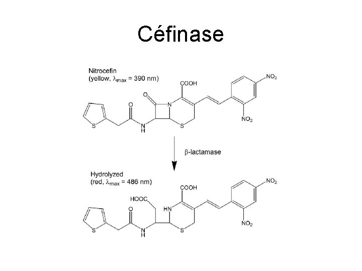Infections Respiratoires Infections communautaires S Pneumoniae ...