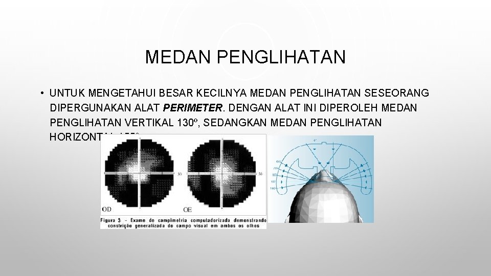 FISIKA MEDIS KONSEP FISIKA BIOOPTIKMENIK DWI KURNIATIE S