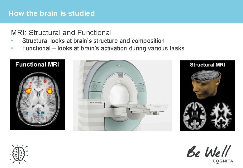 Contents 1 Summary of the history of neuroscience