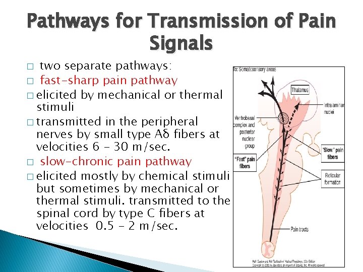 Physiology of Pain Dr Abdulrahman Alhowikan Collage of