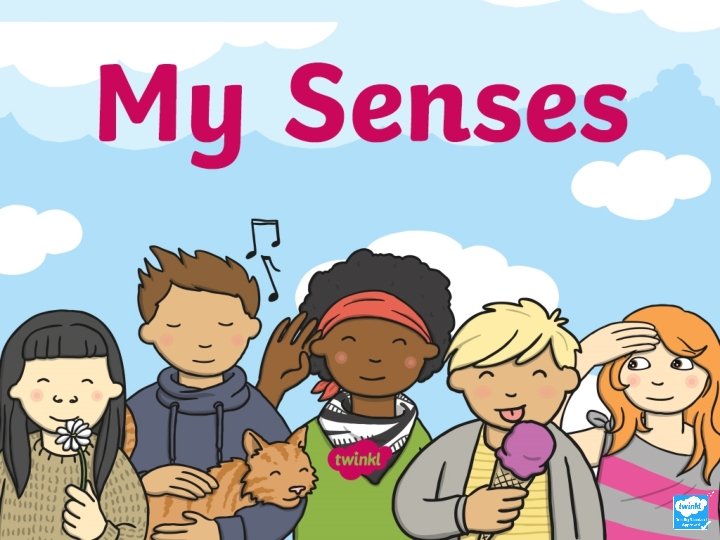 Our Senses Your body is very clever it