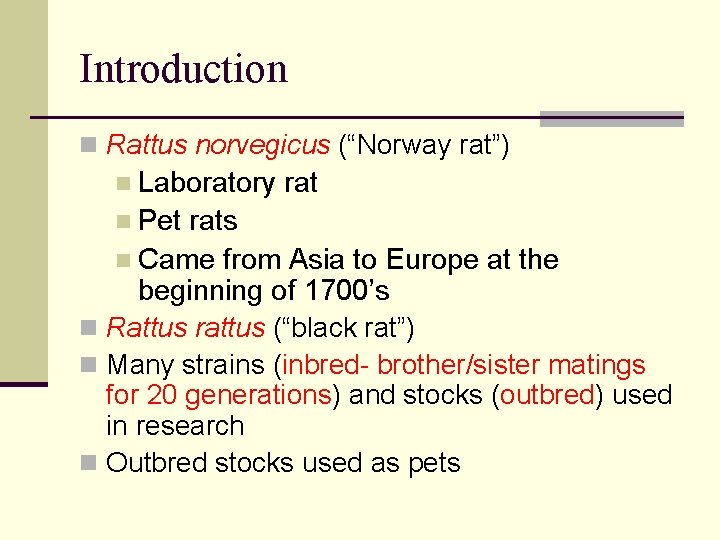 Rat Anatomy and Biology Introduction n Rattus norvegicus