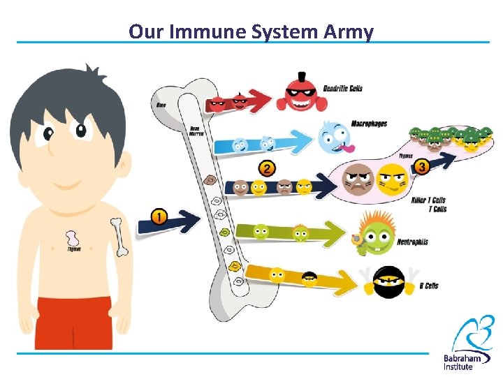 Weapons of Microscopic Destruction babrahaminst Learning Outcomes All