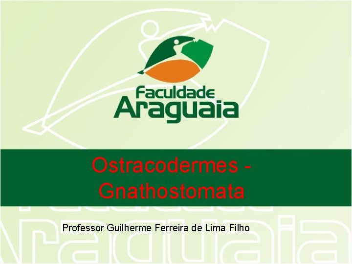 Ostracodermes Gnathostomata Professor Guilherme Ferreira de Lima Filho