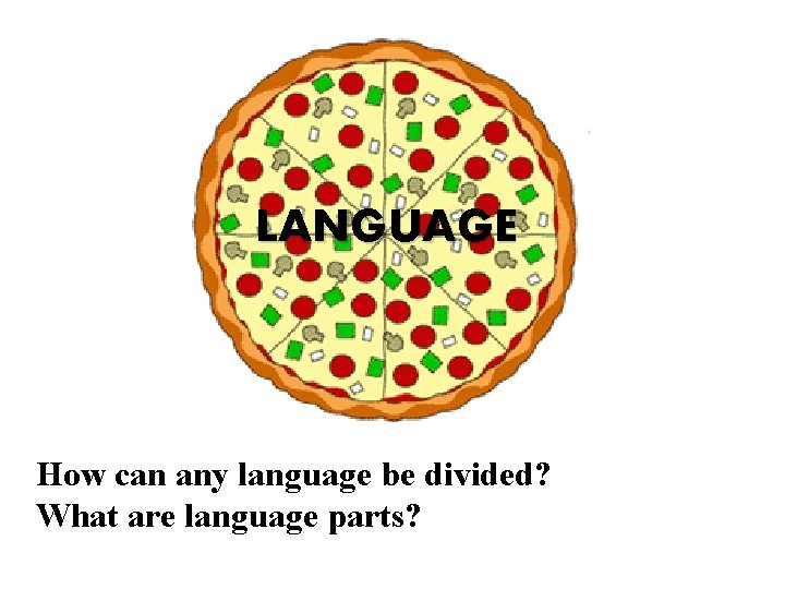 LANGUAGE How can any language be divided What