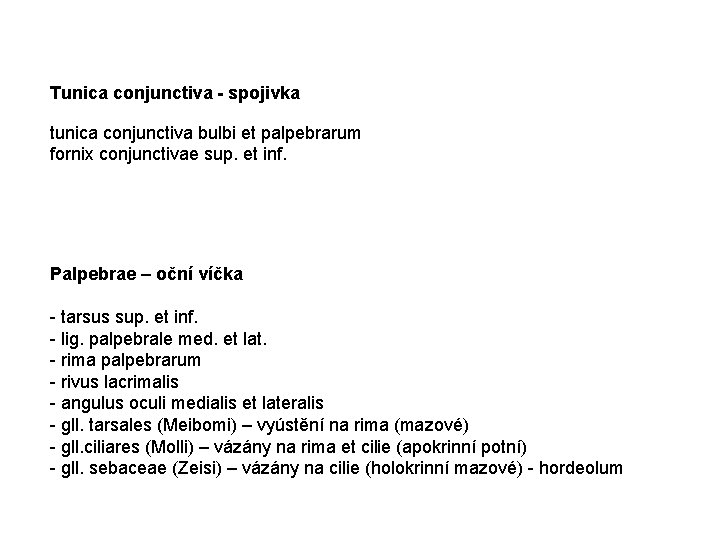 ORGANUM VISUS ZRAKOV STROJ TUNICA FIBROSA BULBI blima