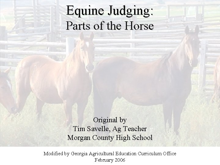Equine Judging Parts of the Horse Original by