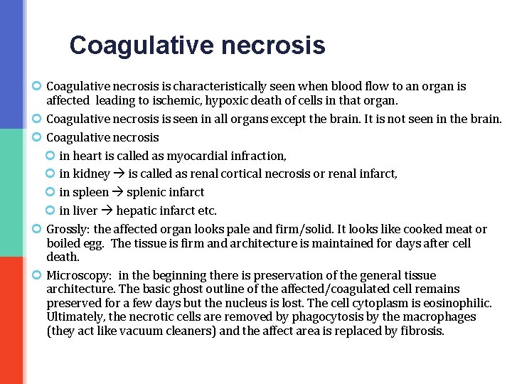 PATHOLOGY Chapter CELL INJURY for first year medical