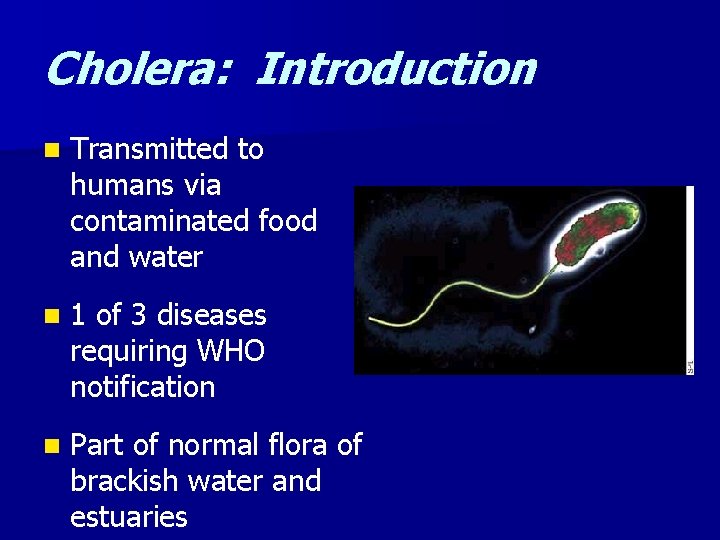 Vibrio Cholera Michelle Ross Kristin Roman Risa Siegel