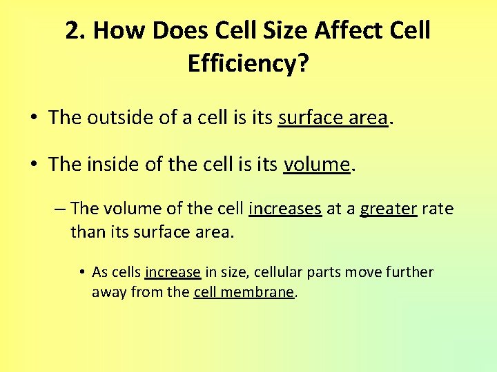 Cell Size Does it Matter Cells Come in
