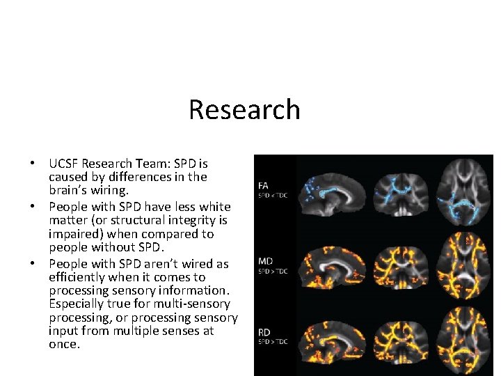 Sensory Processing Disorder SPD and Arts Culture By