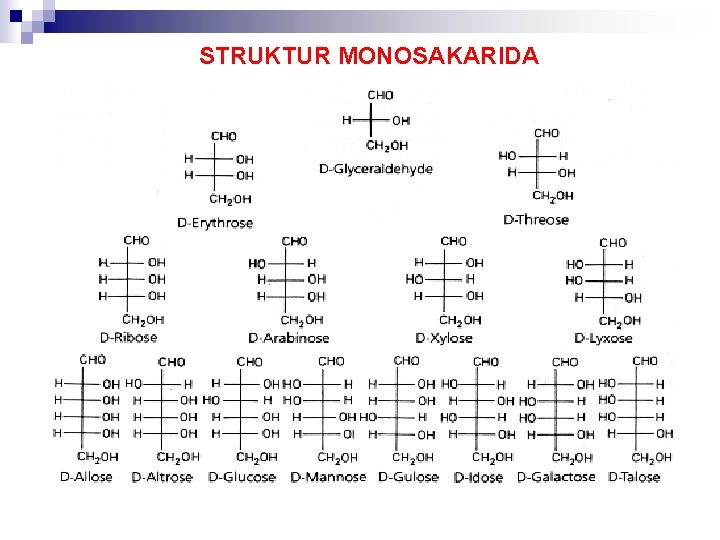 KARBOHIDRAT Reaksi monosakarida Ikatan glikosida Fungsi karbohidrat ...