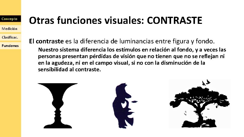 Tema 2 Diversidad funcional visual Profesora Marta Beranuy