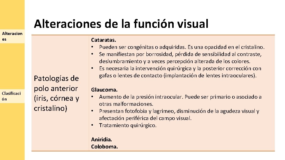 Tema 2 Diversidad funcional visual Profesora Marta Beranuy