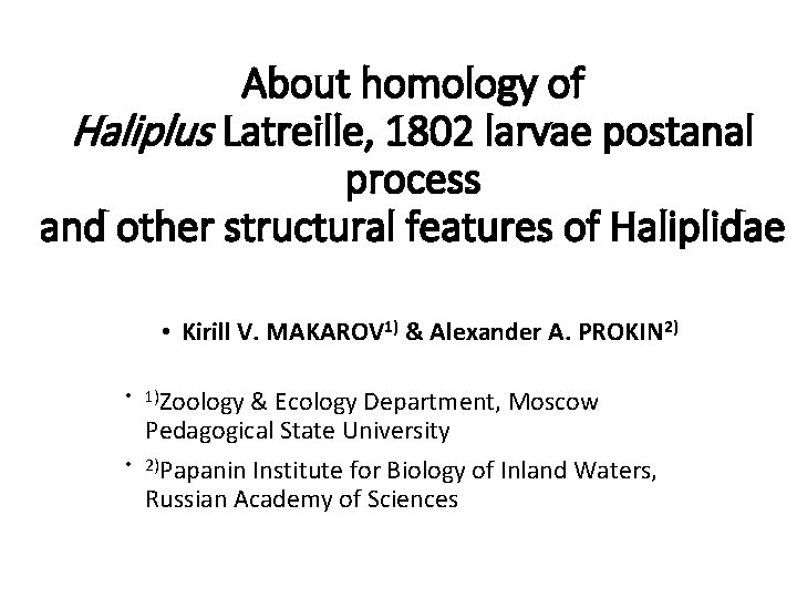 About homology of Haliplus Latreille 1802 larvae postanal