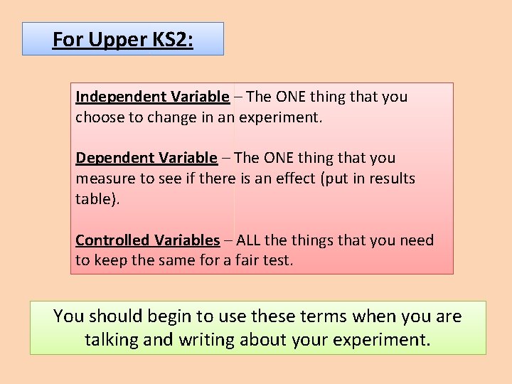 Science Biscuit Investigation Since lockdown Ive had lots