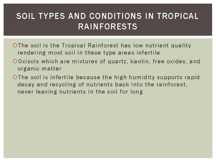 TROPICAL RAINFOREST By Cody Brentlinger and Brandon Turner