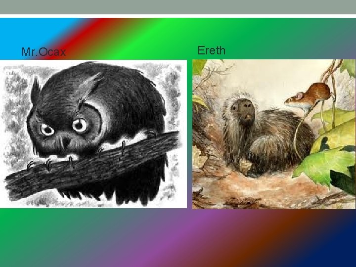 POPPY By Evan Main Characters Poppy Poppy is