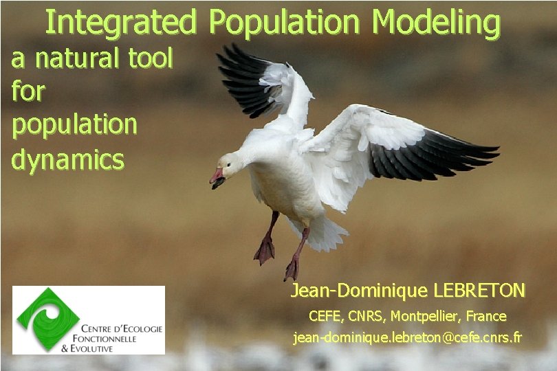 Integrated Population Modeling a natural tool for population