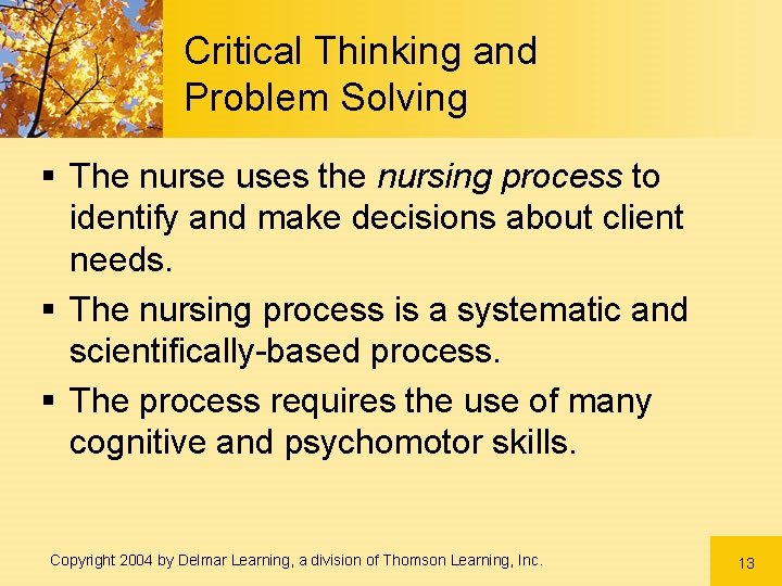 Chapter 10 Critical Thinking and The Nursing Process