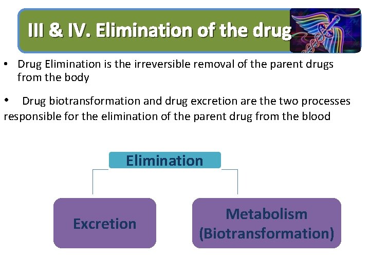 Pharmacology I BMS 242 Lecture 4 Pharmacokienetic Principles