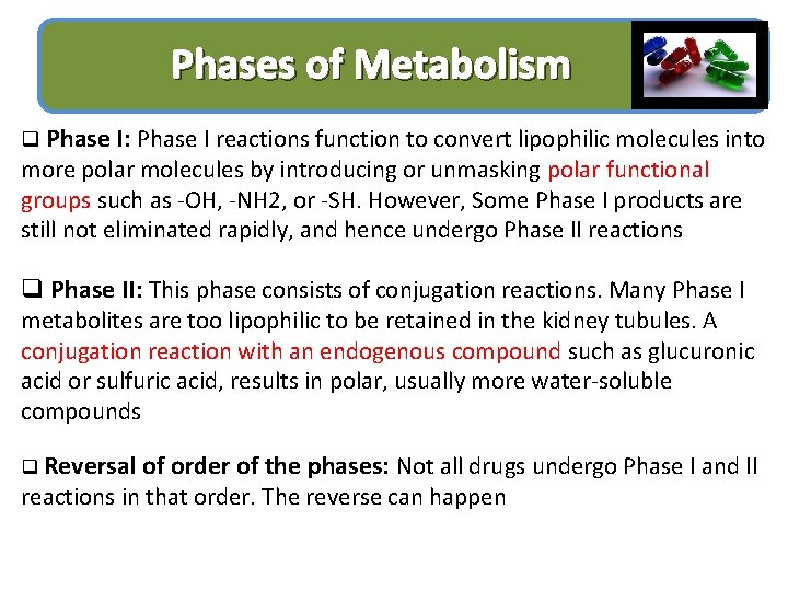 Pharmacology I BMS 242 Lecture 4 Pharmacokienetic Principles