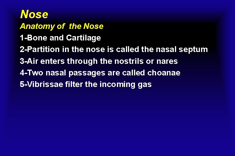 NeuroAnatomy Of Upper Airway BY AHMAD YOUNES PROFESSOR