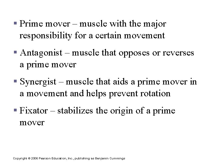 6 The Muscular System PART C Power Point