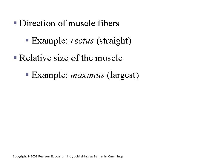 6 The Muscular System PART C Power Point