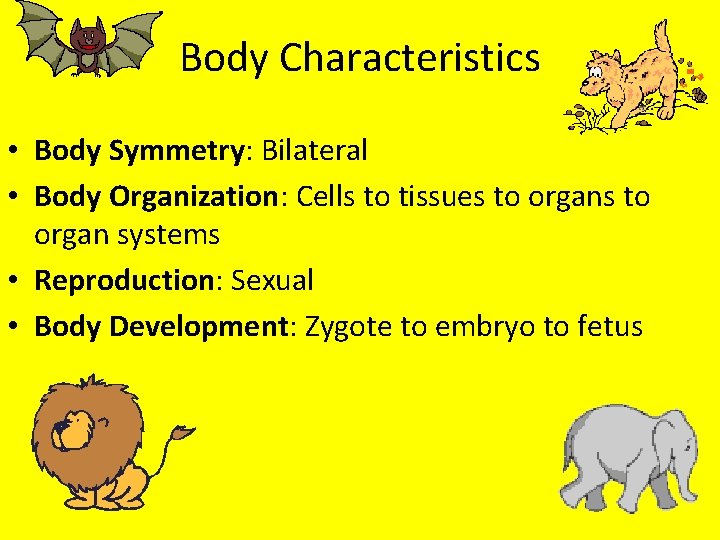 Birds and Mammals Pages 406 413 and 420