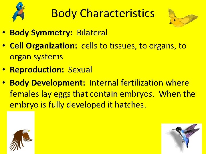 Birds and Mammals Pages 406 413 and 420