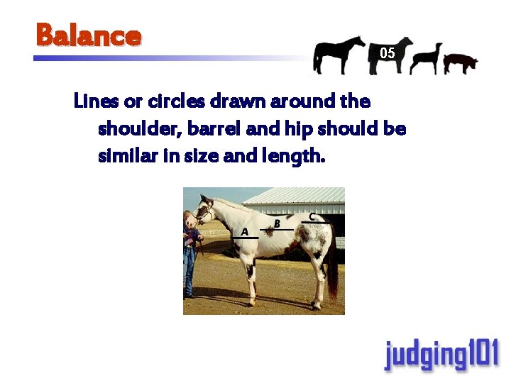 01 Judging Conformation in Horses Outline 1 Balance