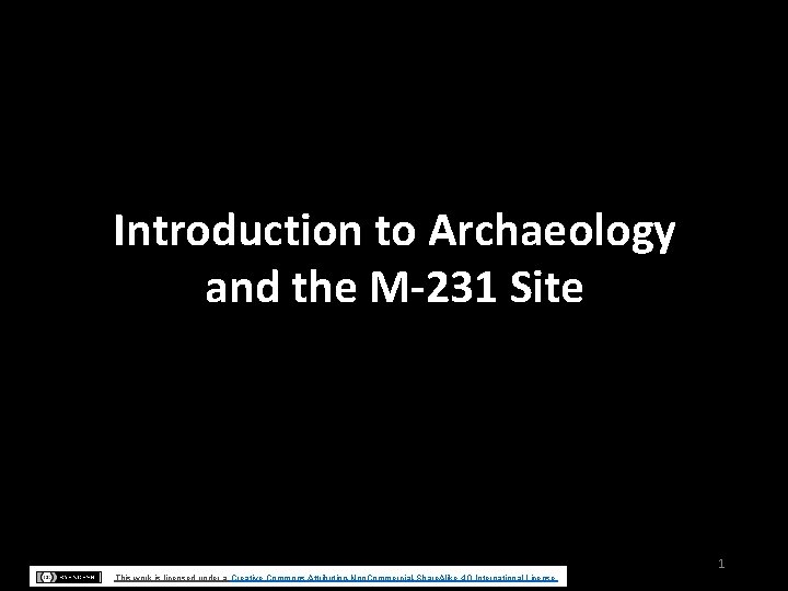 Introduction to Archaeology and the M231 Site 1