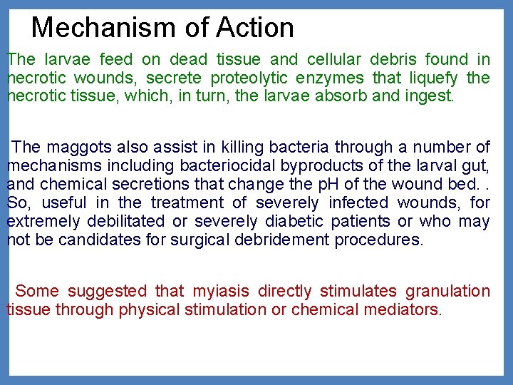 Myiasis Definition The invasion of organs and tissues