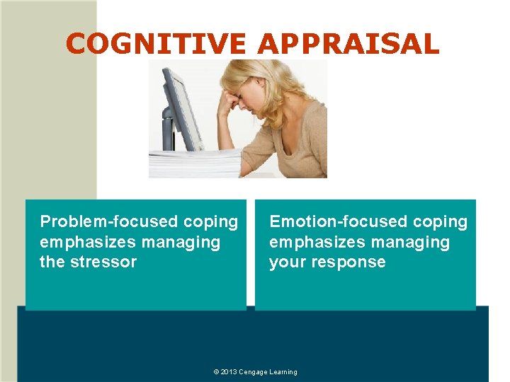 Chapter 7 Stress and WellBeing at Work 2013