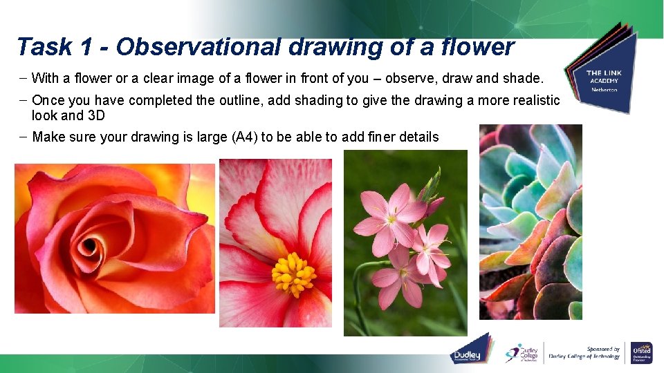 Task 1 Observational drawing of a flower With