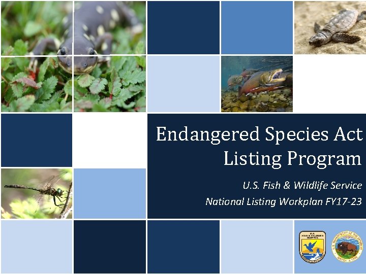 Endangered Species Act Listing Program U S Fish