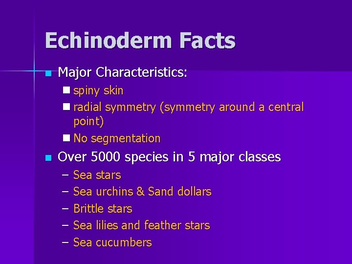 Echinoderms Echinoderm Facts n Major Characteristics n spiny