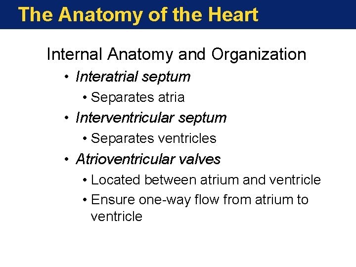 12 The Cardiovascular System The Heart Hearts Place