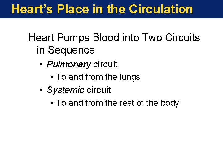 12 The Cardiovascular System The Heart Hearts Place