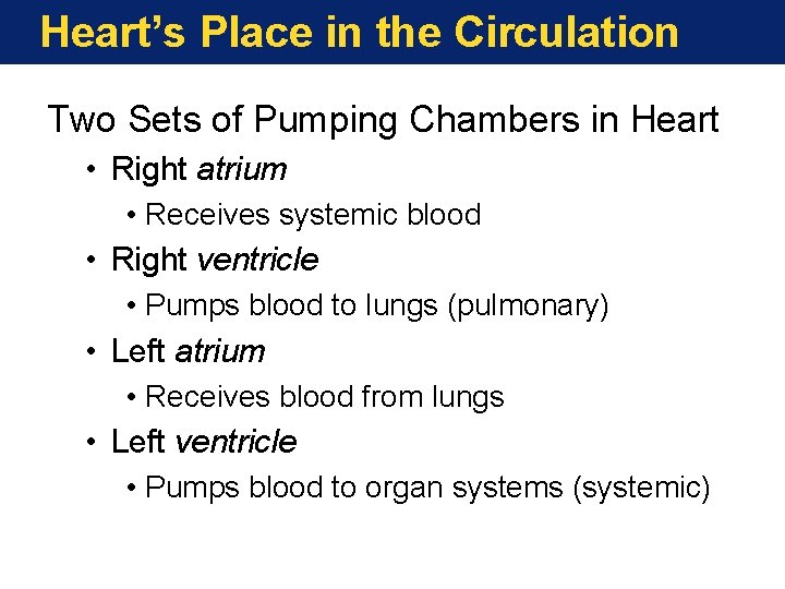 12 The Cardiovascular System The Heart Hearts Place