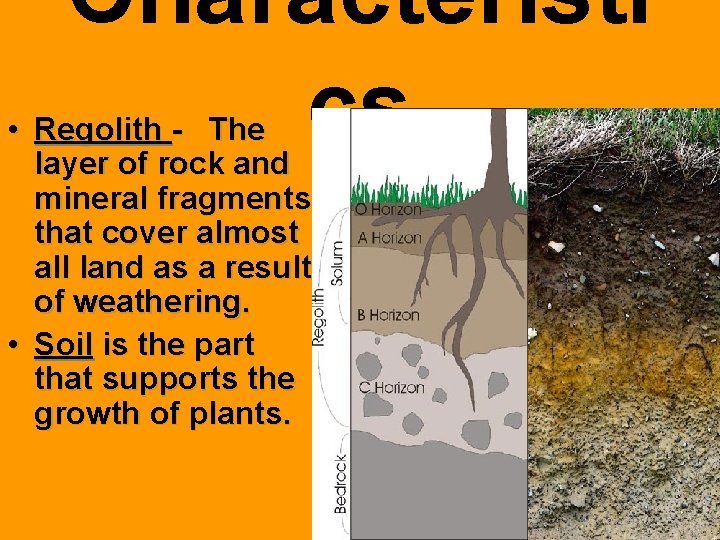 Soil Characteristi cs Regolith The layer of rock